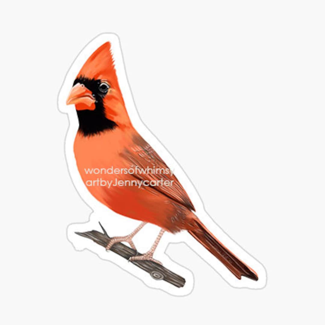 Cardinal Sticker Two Sizes Small 2.9x4 Inch Larger Large 3.9x5.5 Inch ...