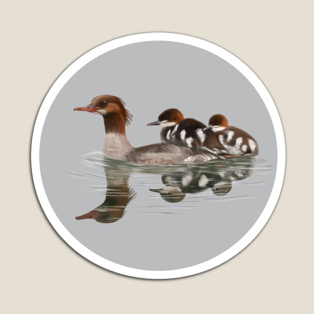 Merganser Family Magnet 3 Sizes - Etsy
