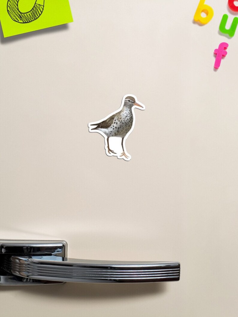 Sandpiper Magnet 3 Sizes - Etsy