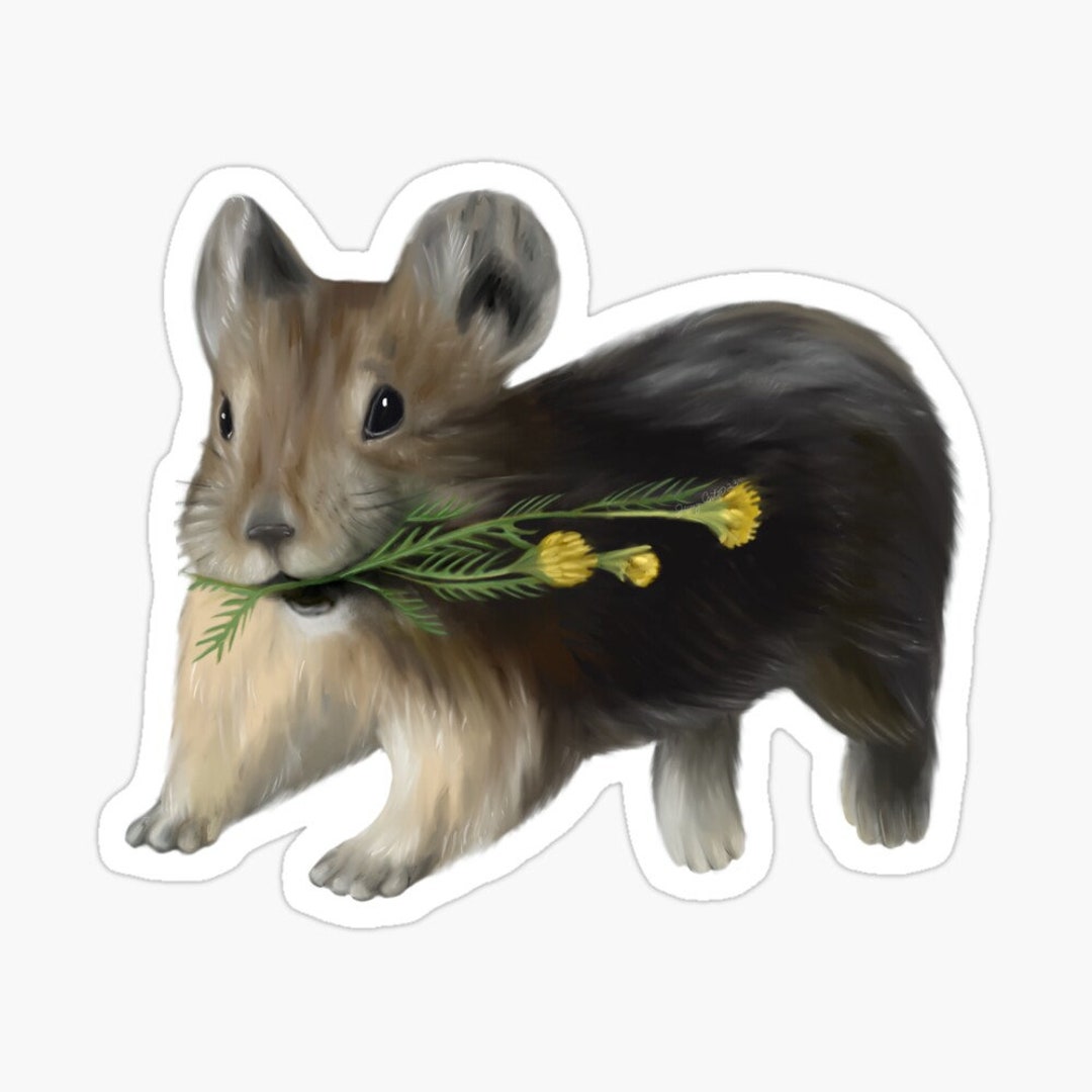 American Pika With Flowers Sticker Two Sizes Small 3-3.8 or Large 5-6 ...