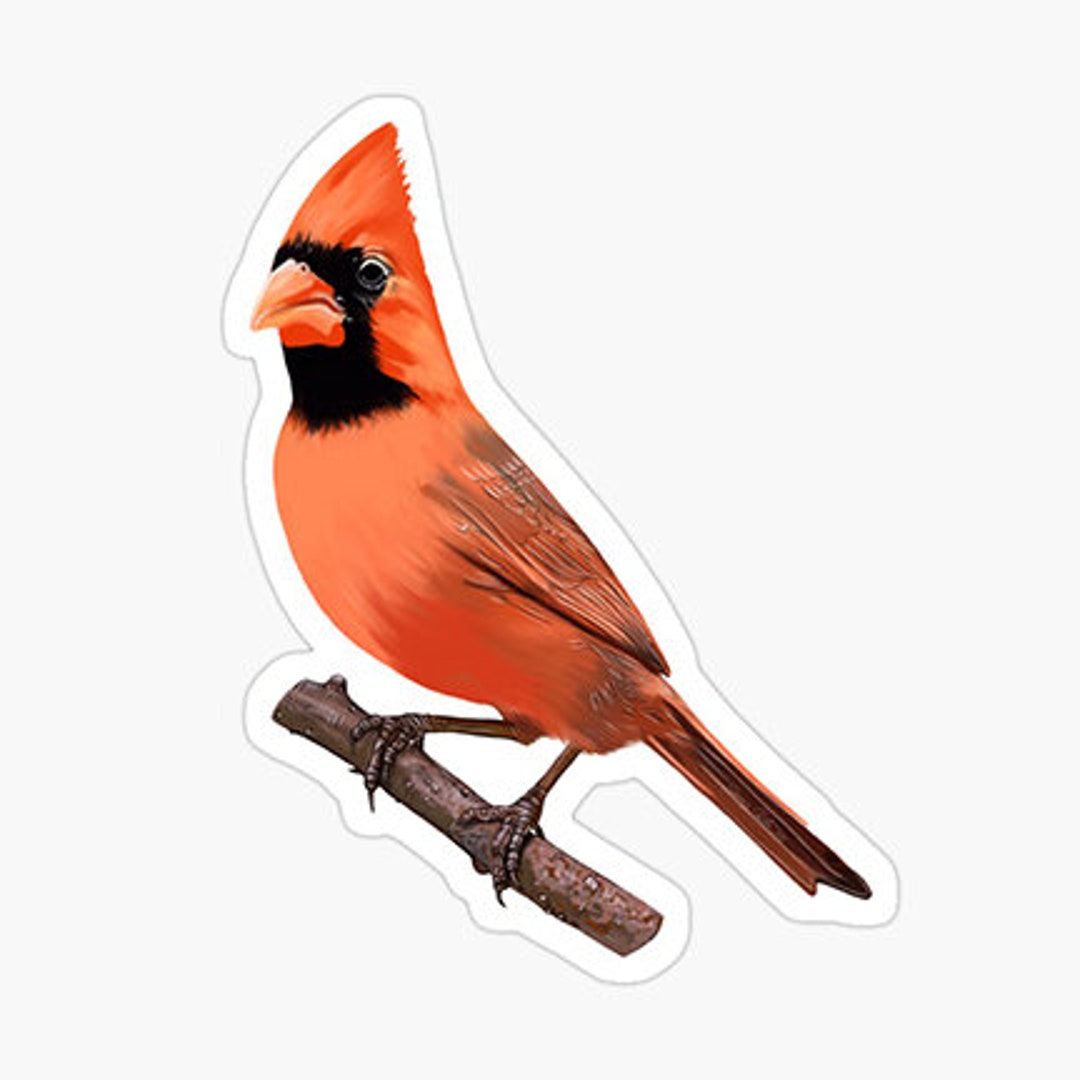 Cardinal Sticker Two Sizes Small 2.9x4 Inch Larger Large 3.9x5.5 Inch ...