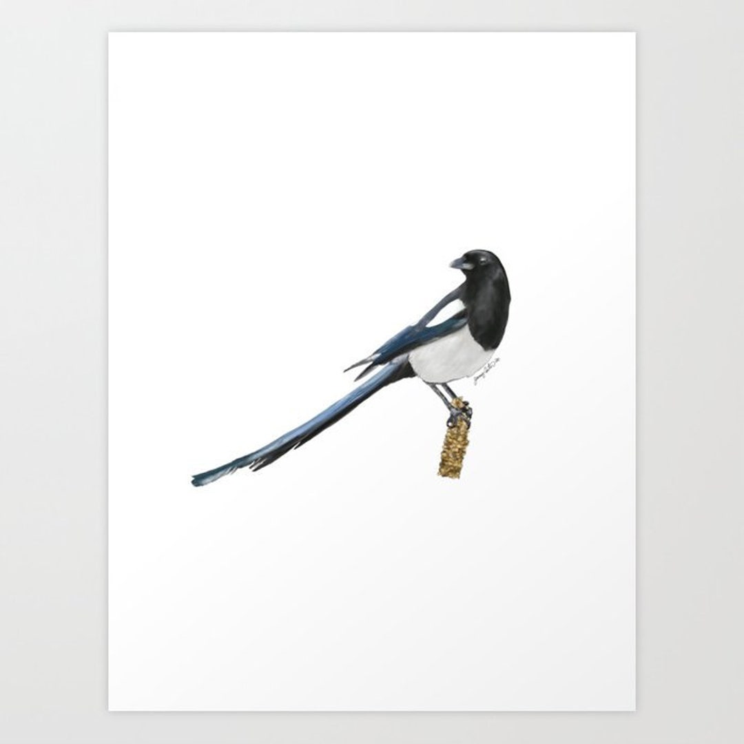Magpie Print of Digital Painting - Etsy
