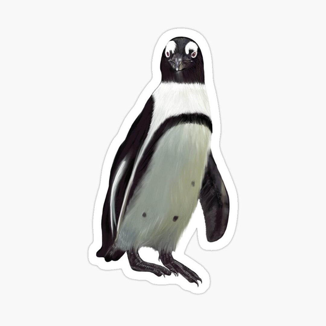 Penguin Sticker Two Sizes Small 2.1x4 or Large 2.9x5.5 Inches Multipack ...