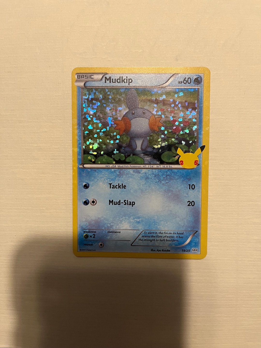 Pokémon Mudkip 2021 Holo Mcdonalds 25th Anniversary Promo in Great ...