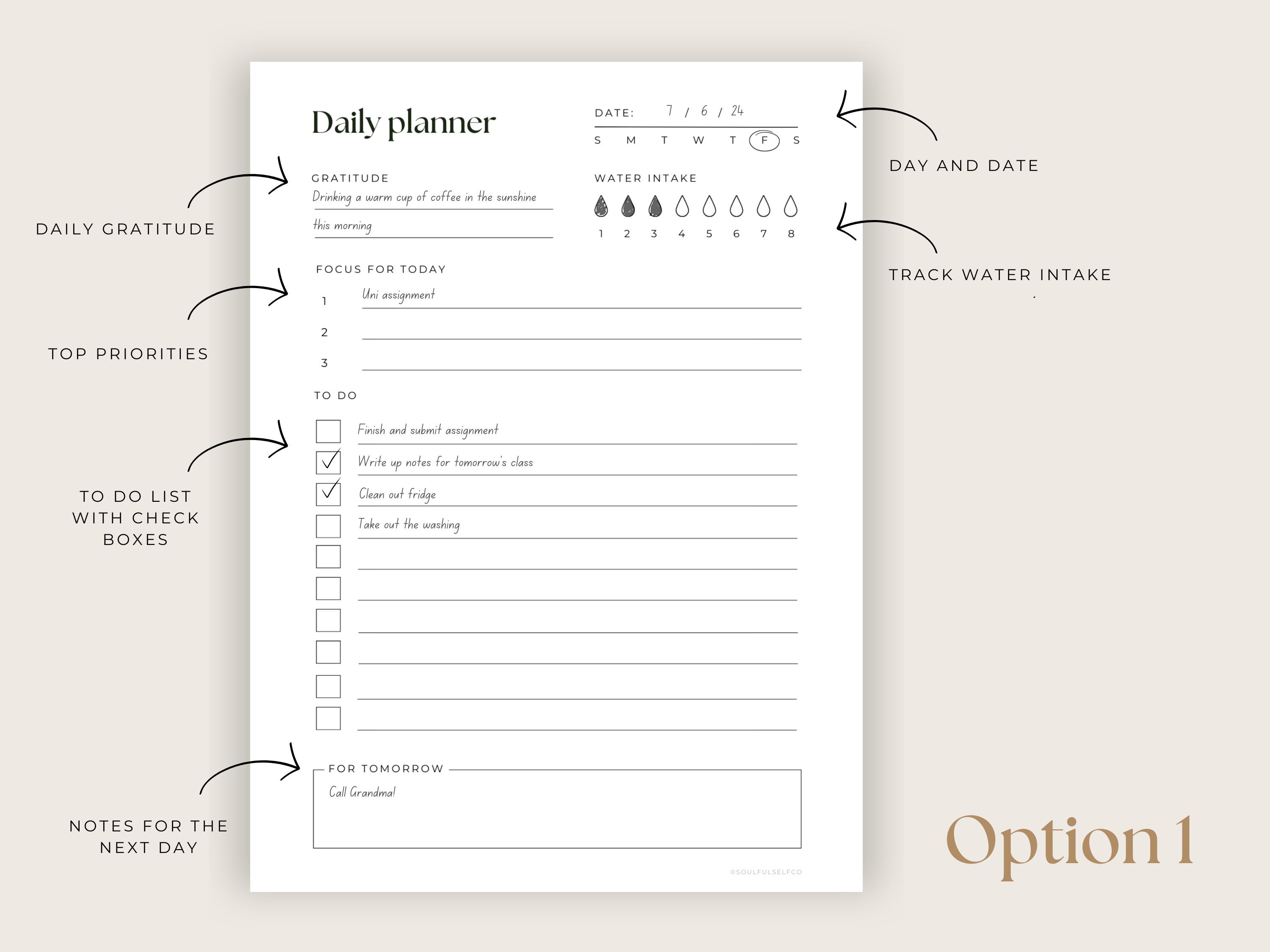 Daily Planner Printable: A4 Productivity Template (PDF) - Etsy UK