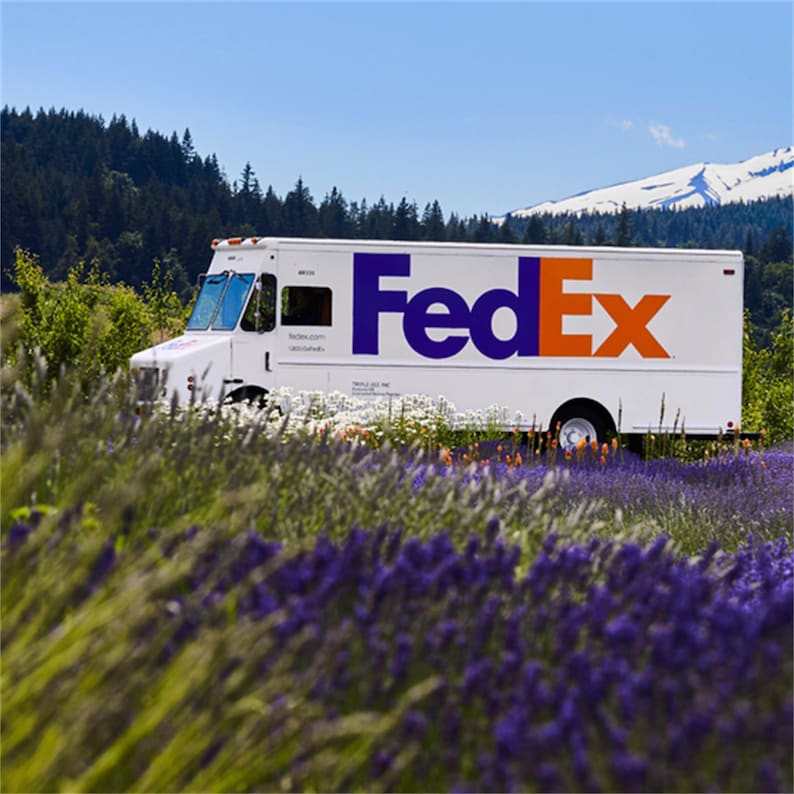 UPS Express & Fedex Express Upgrade - Etsy