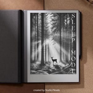 Sleep Screen Bundle for Remarkable 2 & 1 With Forest Scenes, Cover for ...