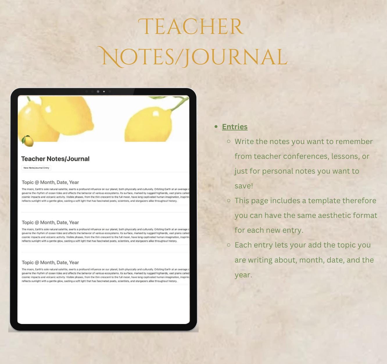 Notion Template - Lesson Planner Template, Lesson Plan for Teachers ...