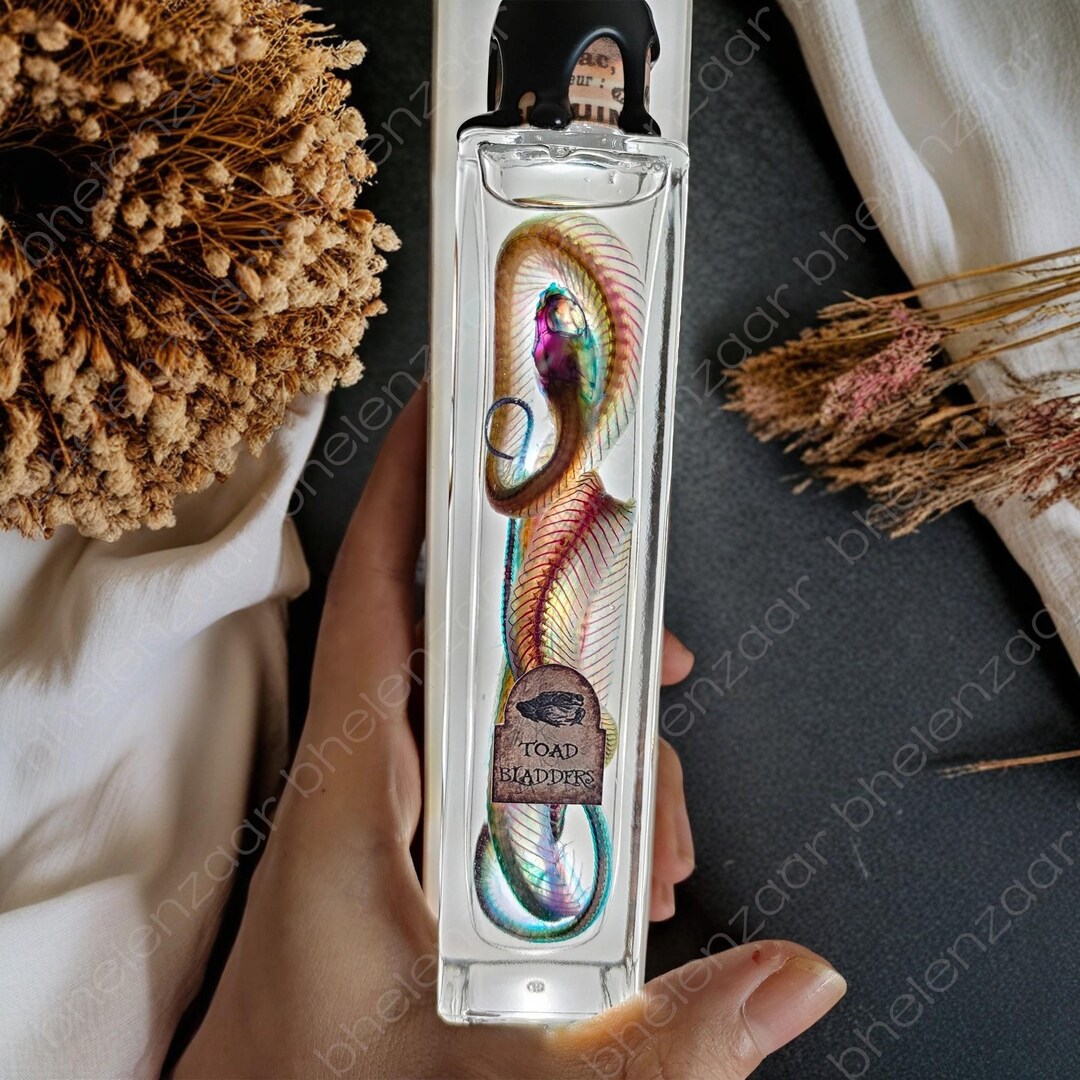 Real Snake Specimen,real Animal Specimen,clean and Complete,specimen ...