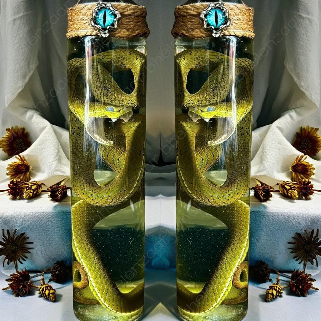 Real Snake Specimen,real Animal Specimen,clean and Complete,specimen ...