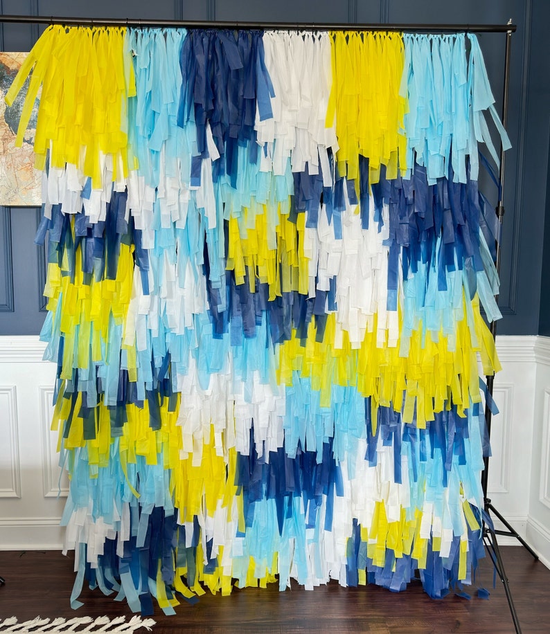 CUSTOM Fringe Backdrop, Fringe Backdrops, Party Decor, Streamers ...