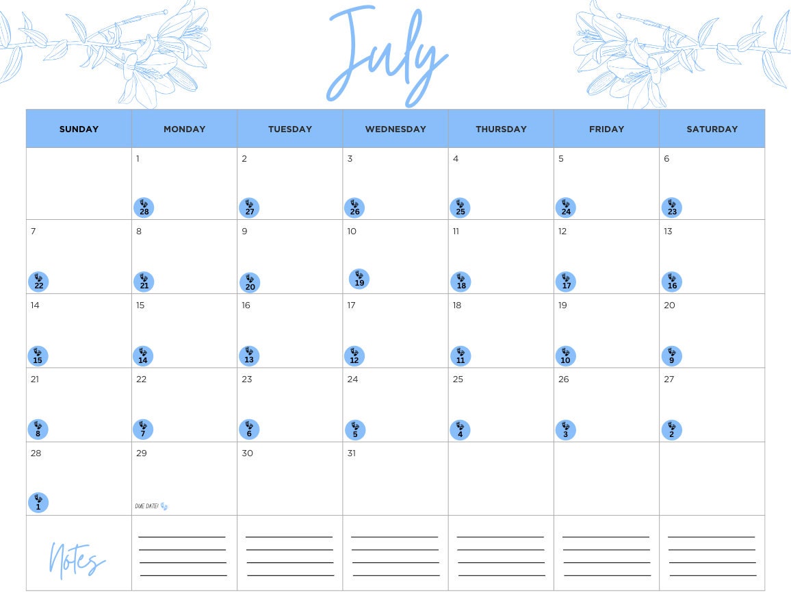 Baby Countdown Printable Calendar, Personalized Due Date Calendar, Baby ...
