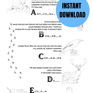 Printable Activity Bundle | Australian Animals | PDF Instant Download ...