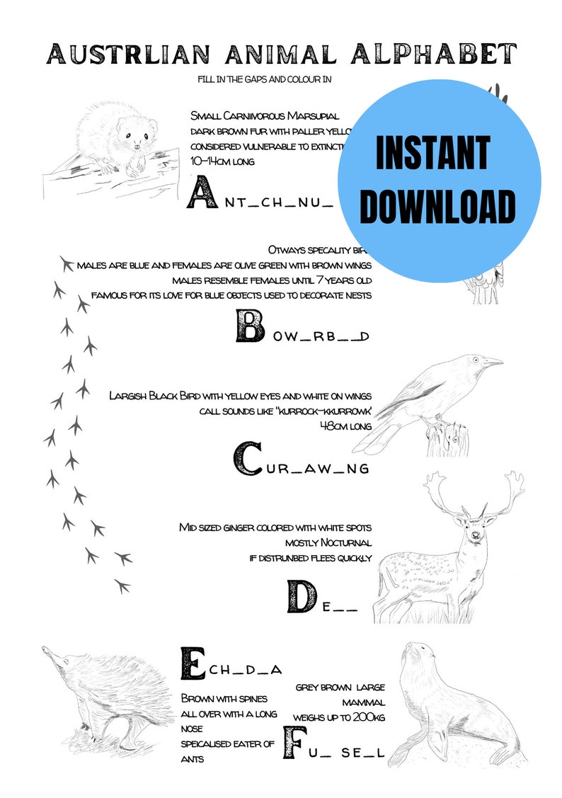 Printable Activity Bundle | Australian Animals | PDF Instant Download ...