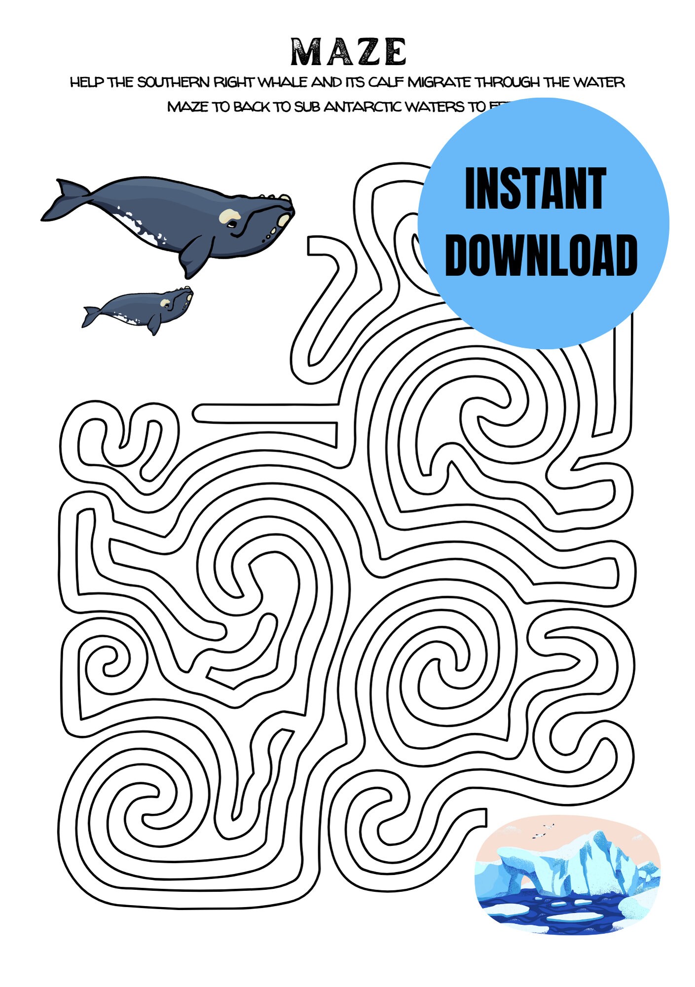 Printable Activity Bundle | Australian Animals | PDF Instant Download ...