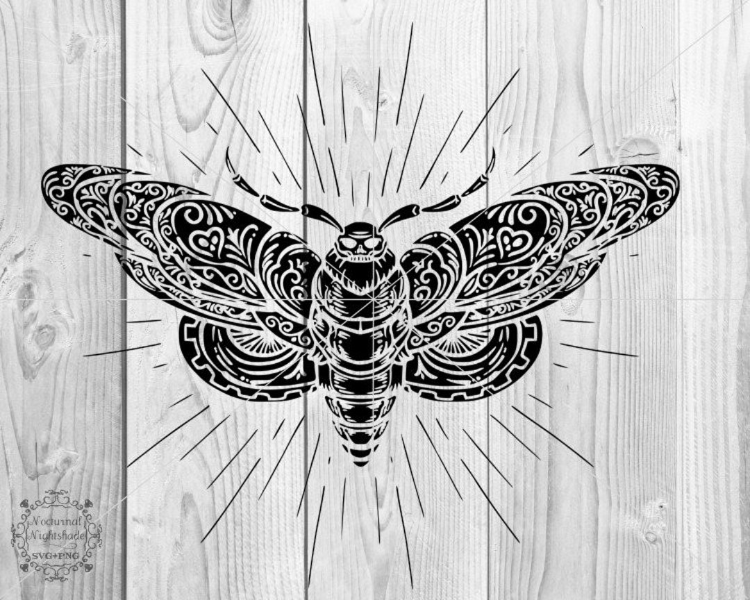 Gothic Moth SVG, Goth Moth SVG, Gothic Butterfly SVG, Gothic Skull Cut ...