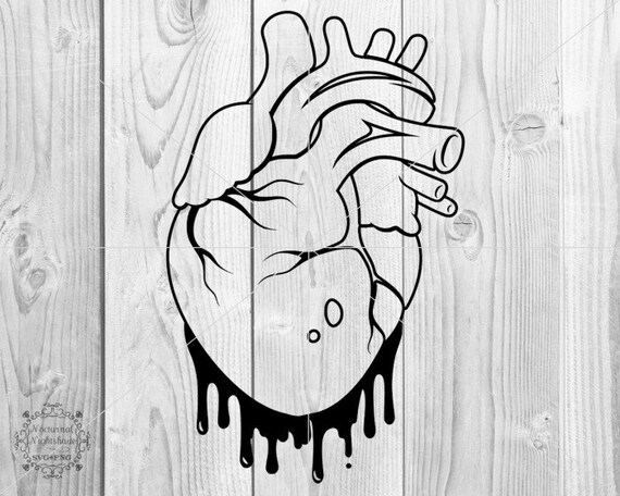 Dripping Anatomical Heart Svg Real Human Heart Svg | Etsy
