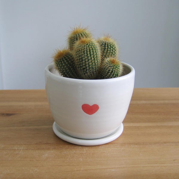 Valentine Planter - Etsy