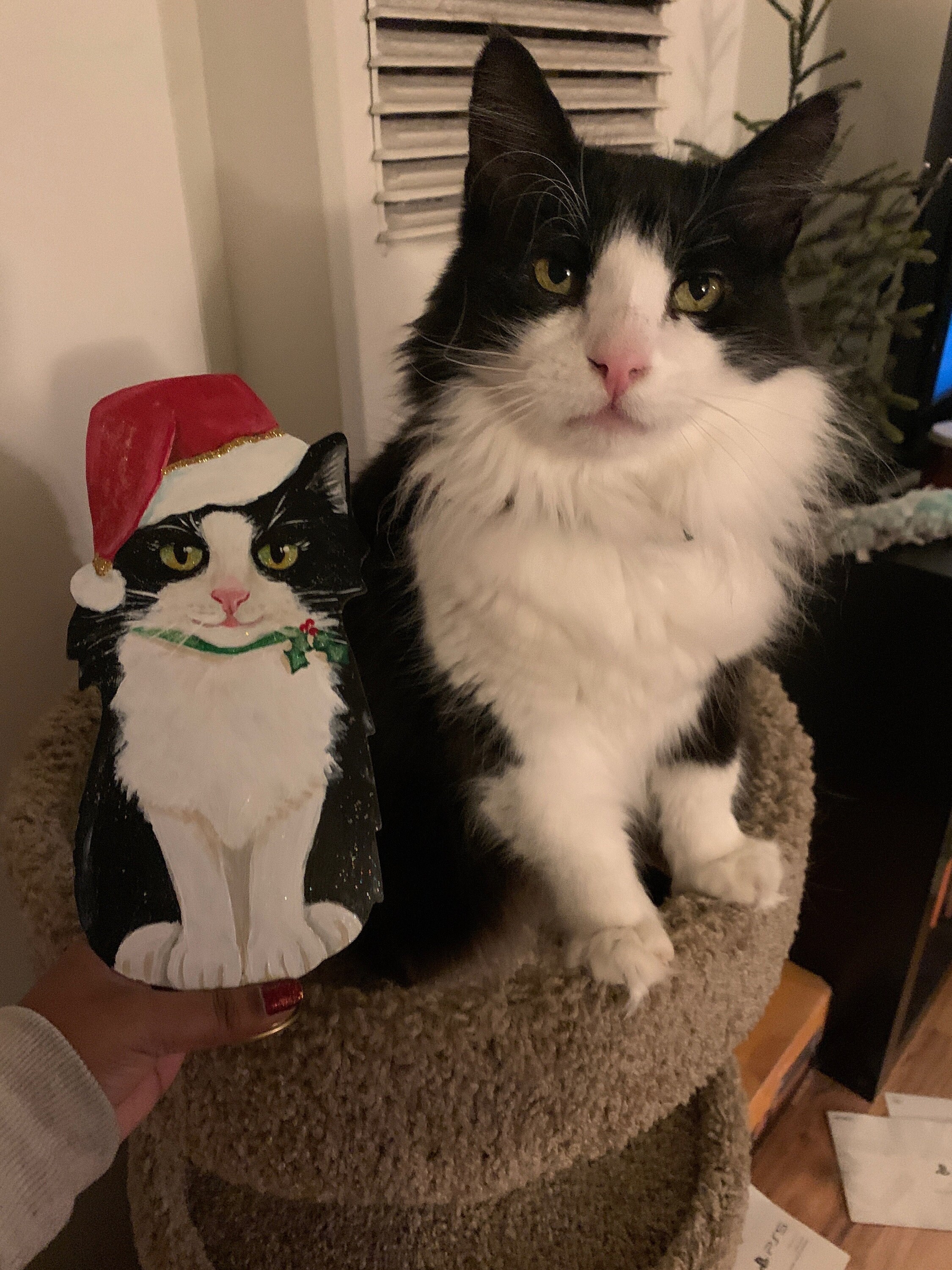 Custom Cat Christmas Tree Topper: Hand-painted Pet Memorial Gift - Etsy