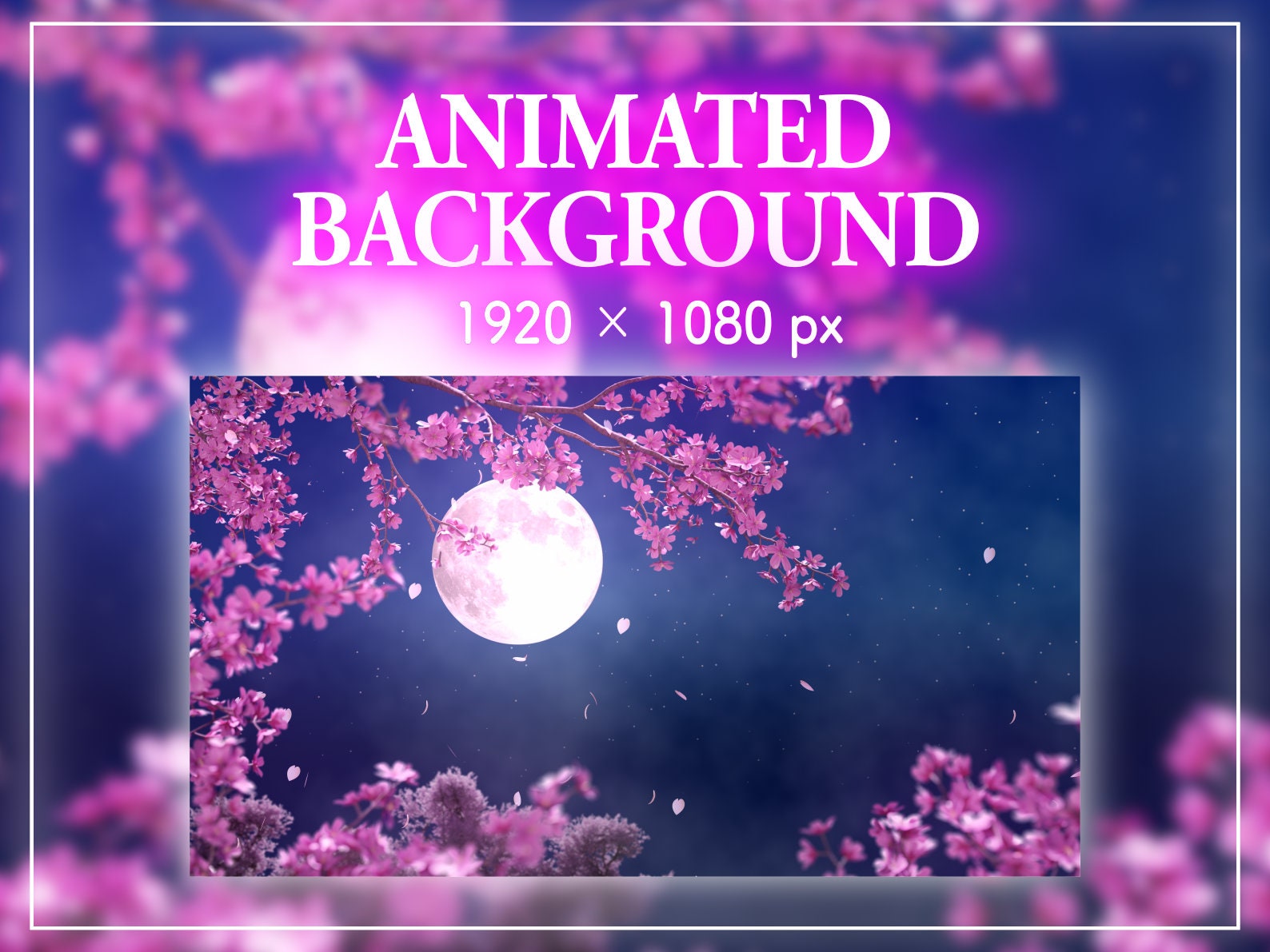 Full Moon Cherry Blossoms | Full HD Looping Background for Vtubers - Etsy