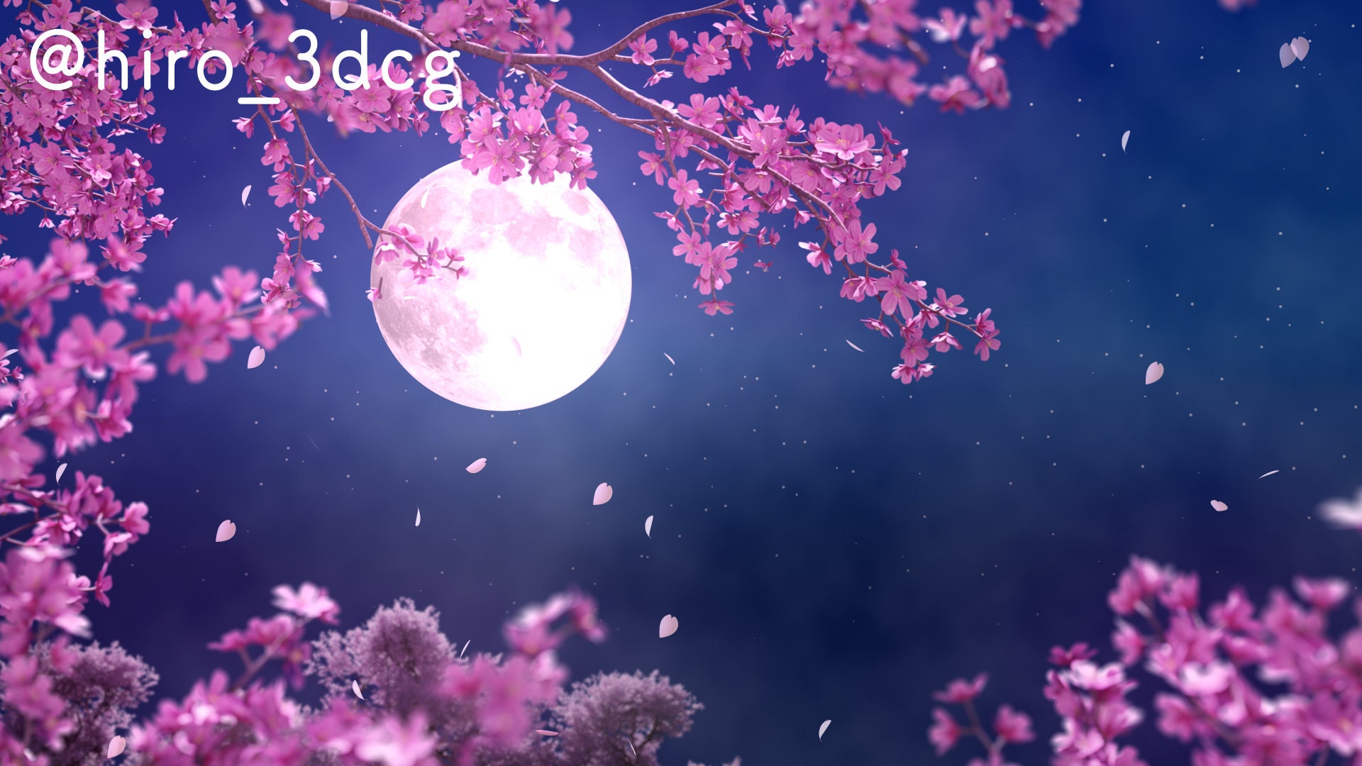 Full Moon Cherry Blossoms | Full HD Looping Background for Vtubers - Etsy