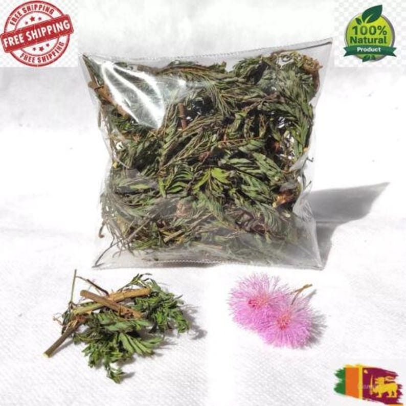 Mimosa Tree Bark (albizia Julibrissin) | Herb 6 Oz Happy Bark | Sleepy ...
