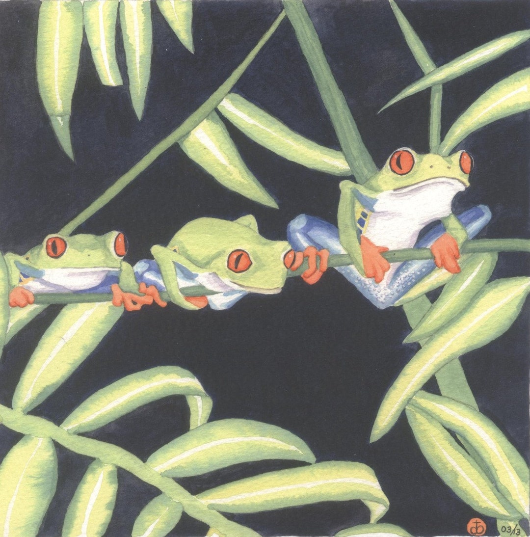 Limited-edition Giclee Print of Original Watercolor Painting "tree Frog ...