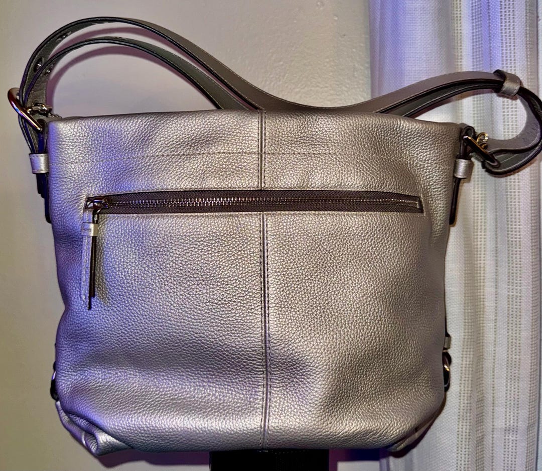 Coach F15064 Champagne Metallic Pebbled Leather Hobo Shoulder Bag Purse ...