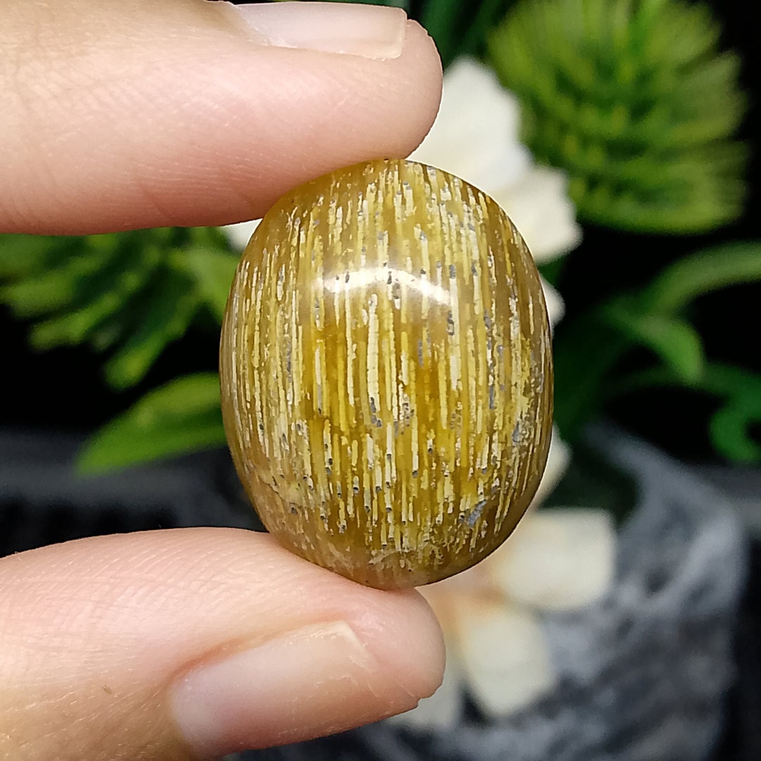 Rare Fiber Sugar Palm Fosil Fiber Wood Agate Size 19x15x8mm Gift for ...