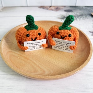 Adorable Handmade Crochet Pumpkin,emotional Support Pumpkin,positive ...