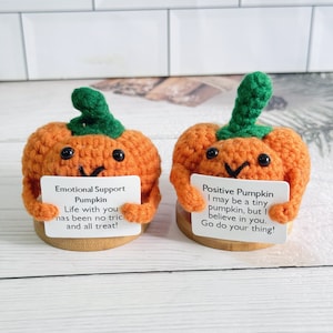 Adorable Handmade Crochet Pumpkin,emotional Support Pumpkin,positive ...