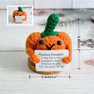 Adorable Handmade Crochet Pumpkin,emotional Support Pumpkin,positive ...