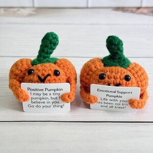 Adorable Handmade Crochet Pumpkin,emotional Support Pumpkin,positive ...