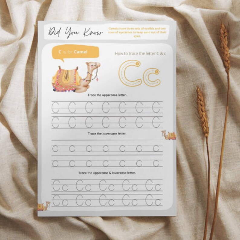 Alphabet ABC Tracing Cards, Phonics Activity, Preschool Kindergarten ...