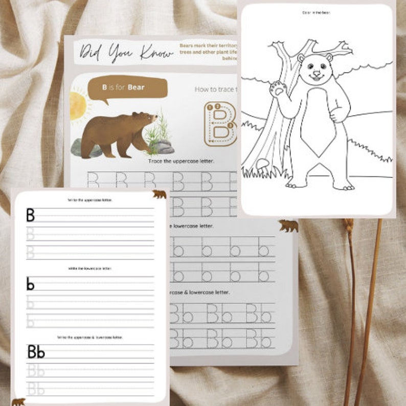 Alphabet ABC Tracing Cards, Phonics Activity, Preschool Kindergarten ...