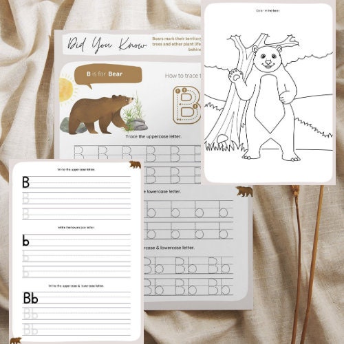 Alphabet ABC Tracing Cards, Phonics Activity, Preschool Kindergarten ...