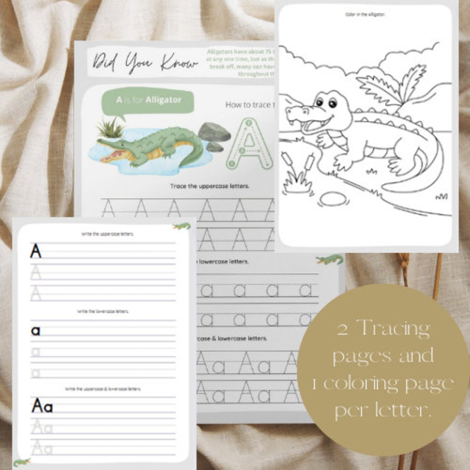 Alphabet ABC Tracing Cards, Phonics Activity, Preschool Kindergarten ...