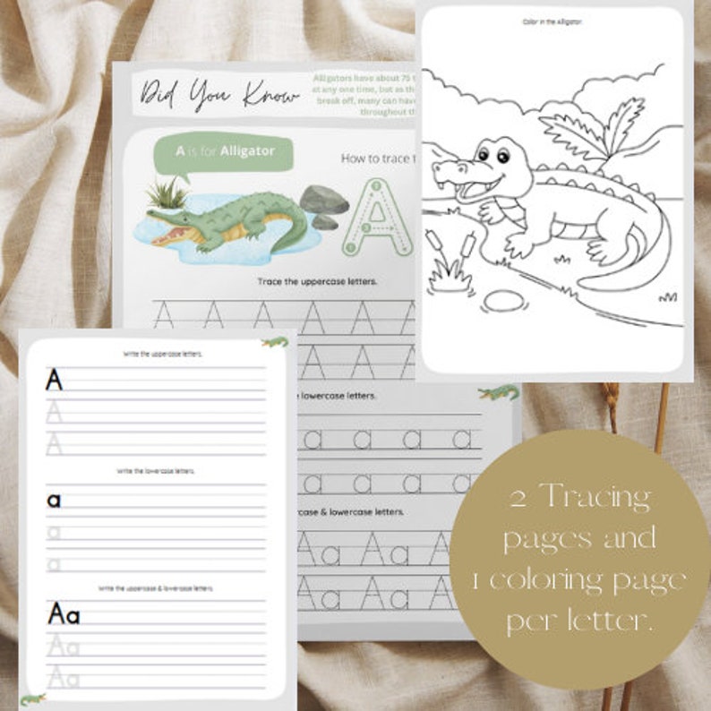 Alphabet ABC Tracing Cards, Phonics Activity, Preschool Kindergarten ...