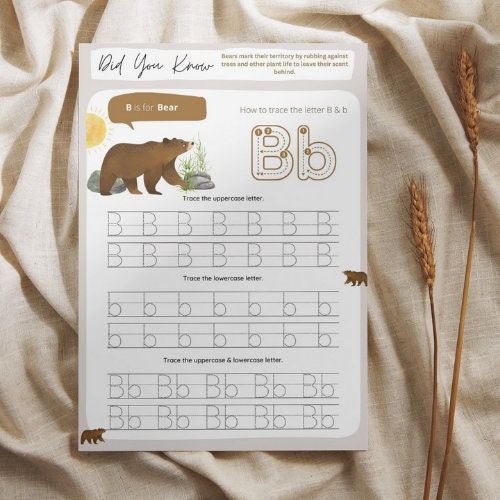 Alphabet ABC Tracing Cards, Phonics Activity, Preschool Kindergarten ...