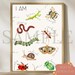 Insect Affirmations Poster Set: Montessori Nursery Art (digital ...