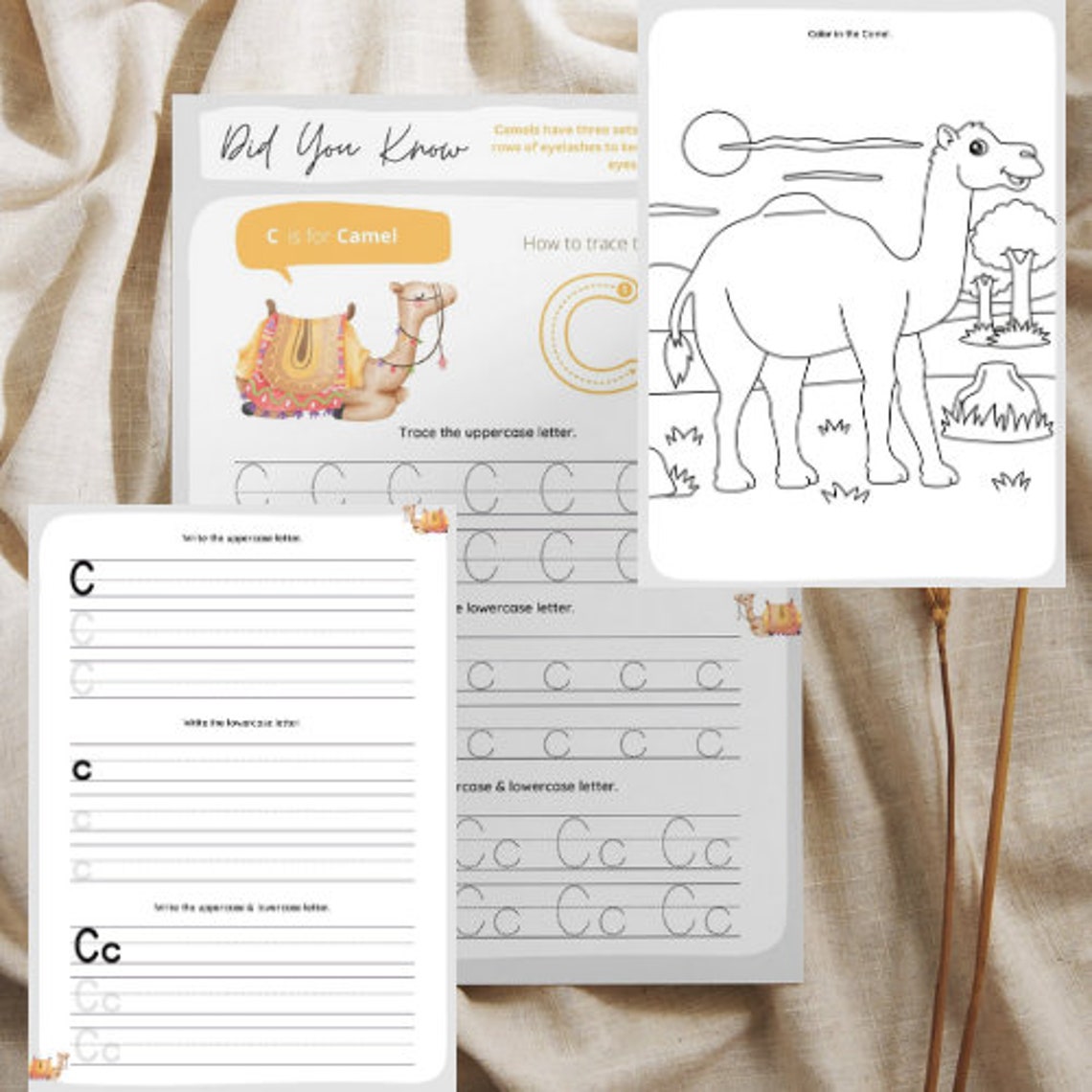 Alphabet ABC Tracing Cards, Phonics Activity, Preschool Kindergarten ...