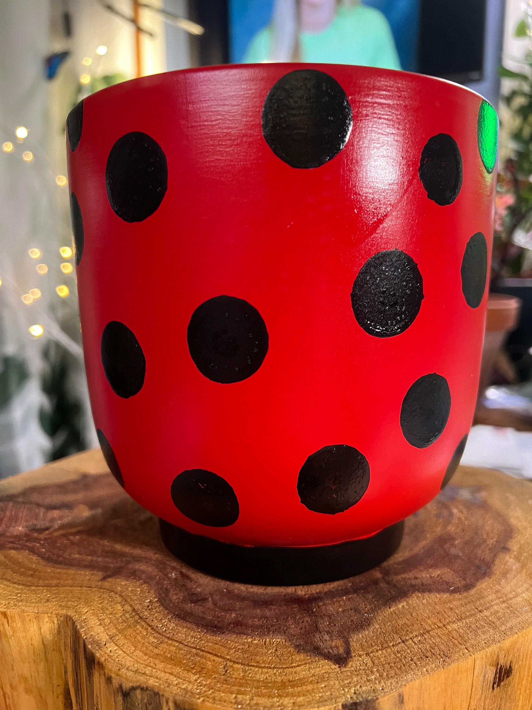 Hand Painted Ladybug Pot - Etsy