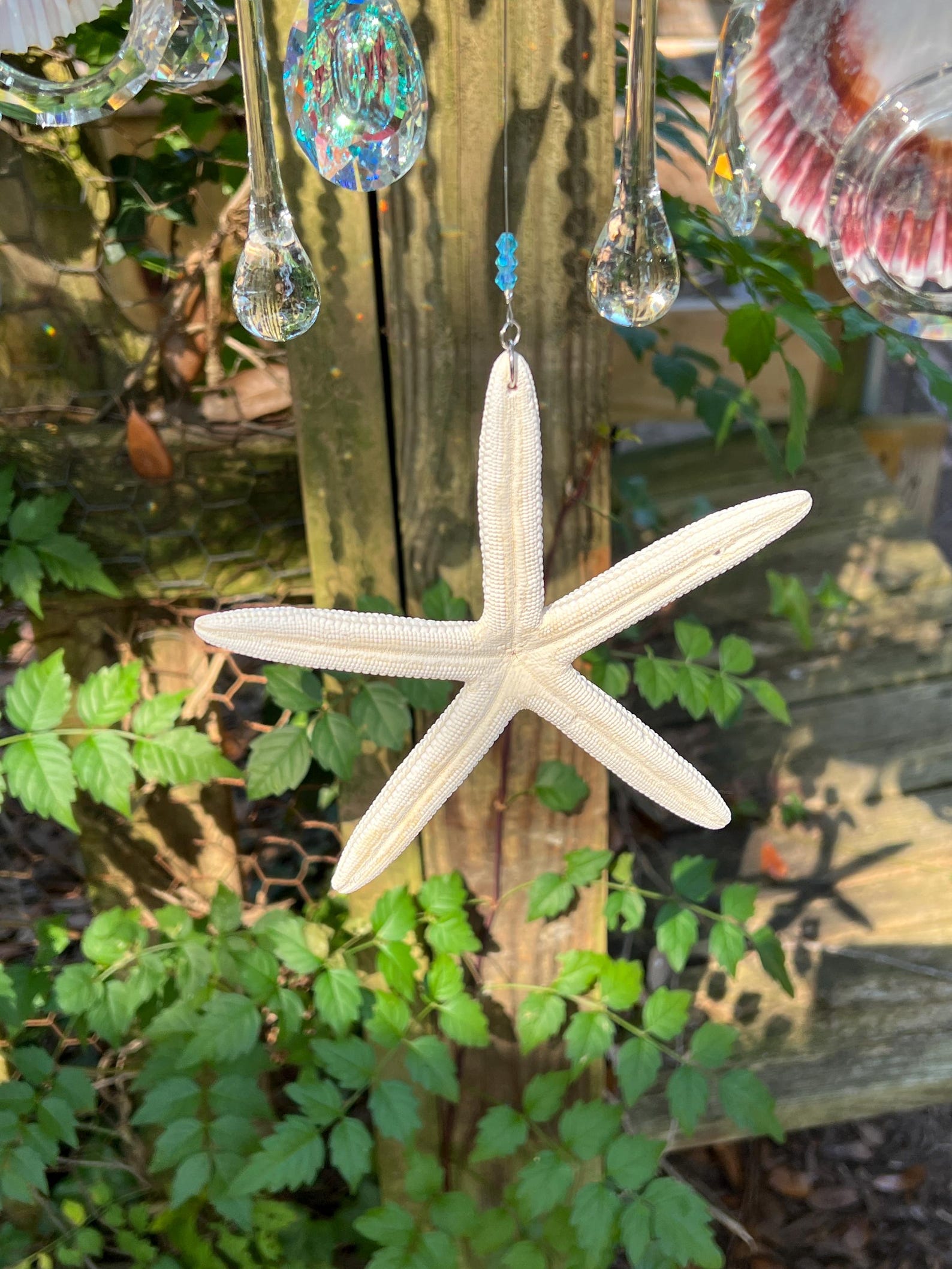 Sea Shell Bohemian Sun Catcher 28x28 - Etsy