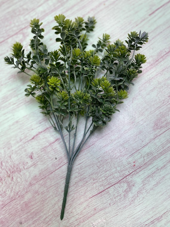 Greenery Hopps Stem 13 Floral Stem Greenery and Stems - Etsy