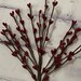 Pip Berry Branch Spray, Red Pip Berry Stem, 10.25 Floral Stem, Greenery ...