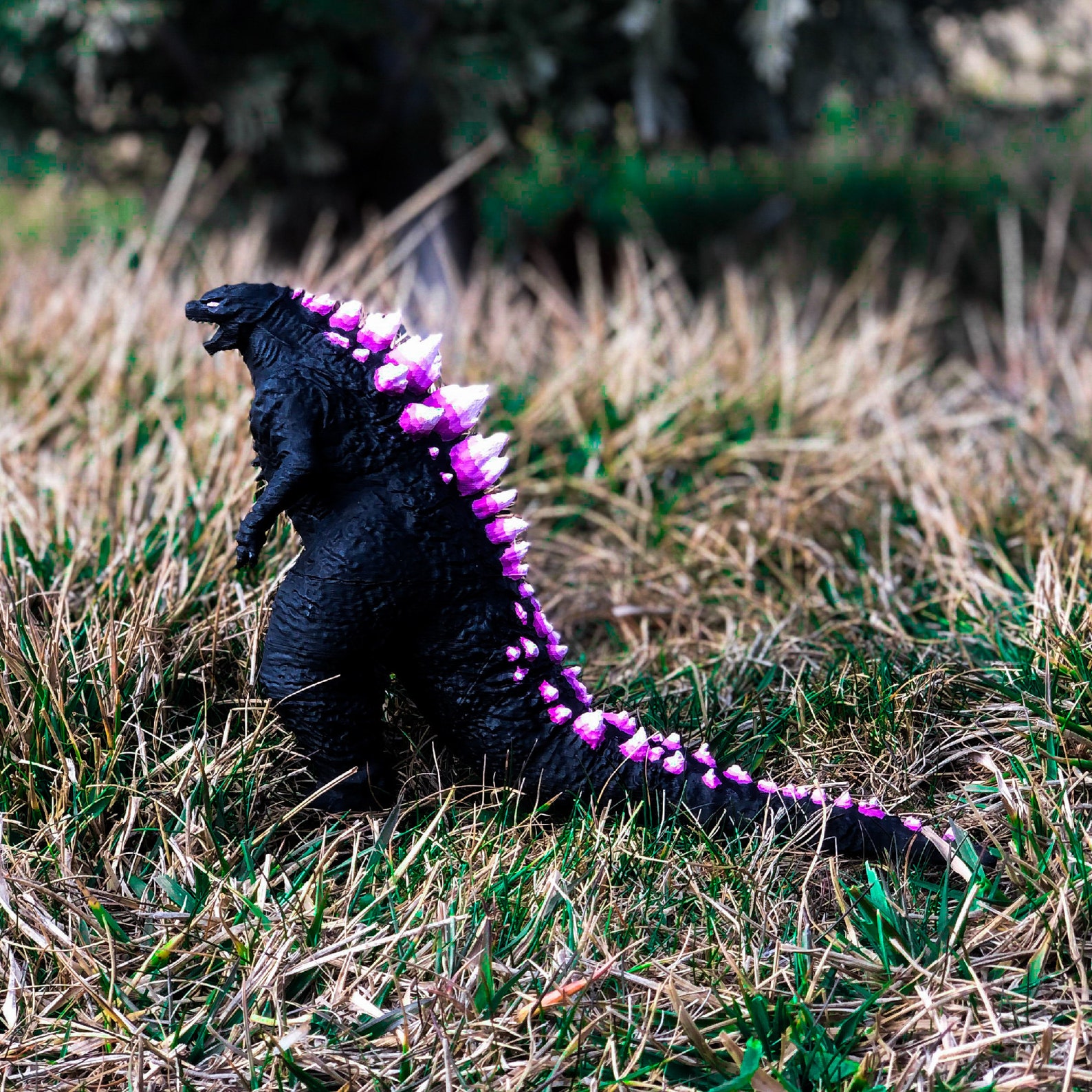 Godzilla X Kong: the New Empire Fidure/size Model 25cm/handmade/high ...