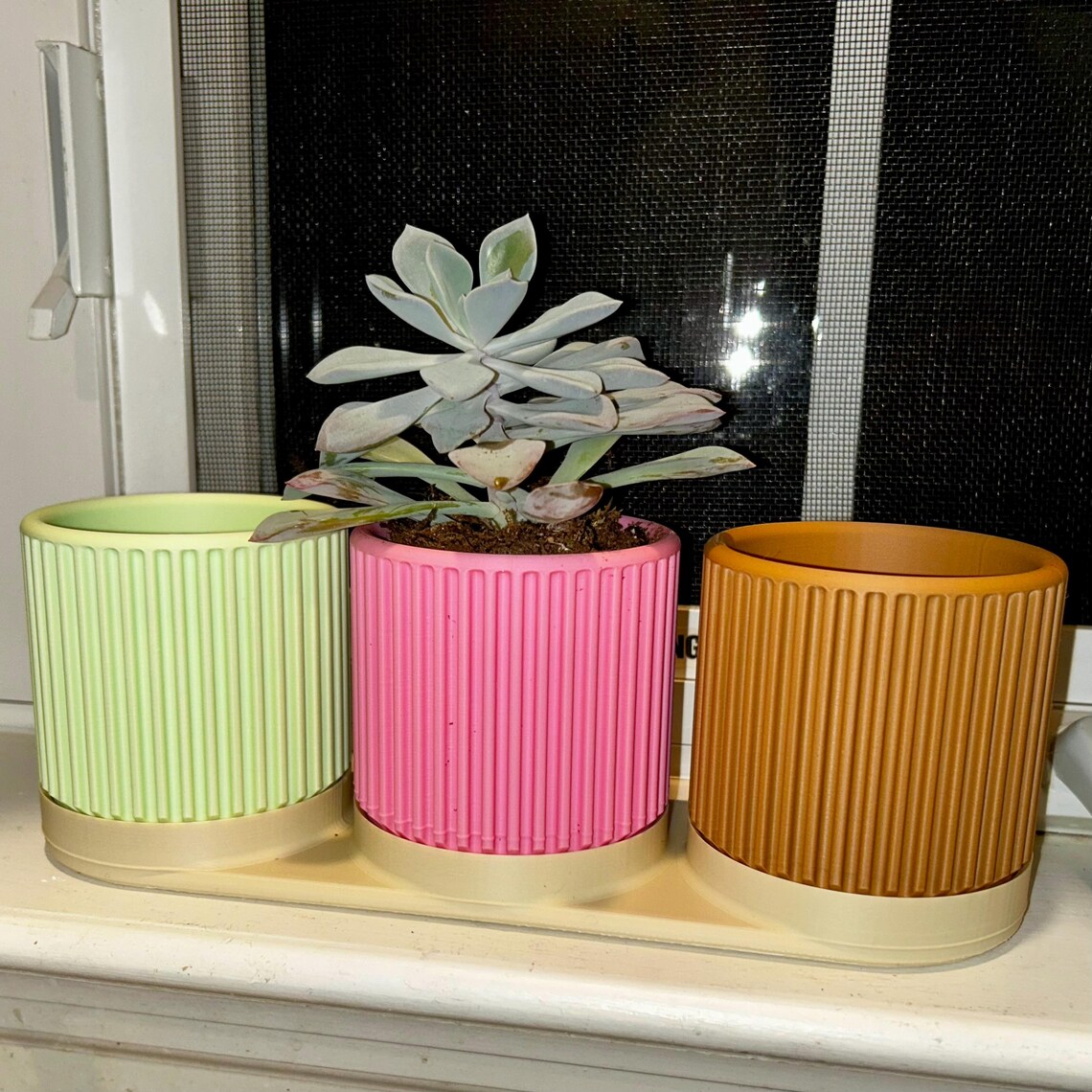 Modern Ribbed Planter With Tray - Stylish Succulent and Small Plant ...