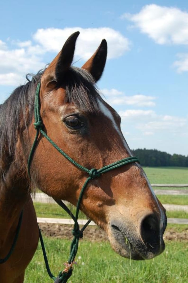 Custom Rope Yacht Halter - Etsy