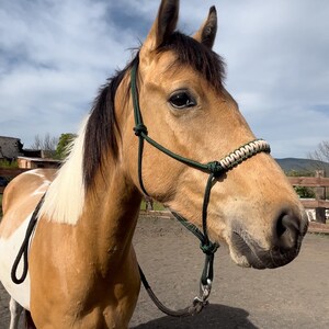 Custom Horse Yacht Rope Halter With Colourful Noseband - Etsy