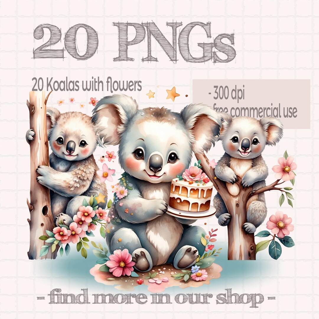 Koala Bear Pictures Watercolor Illustrations, 20 Digital Clip Art ...